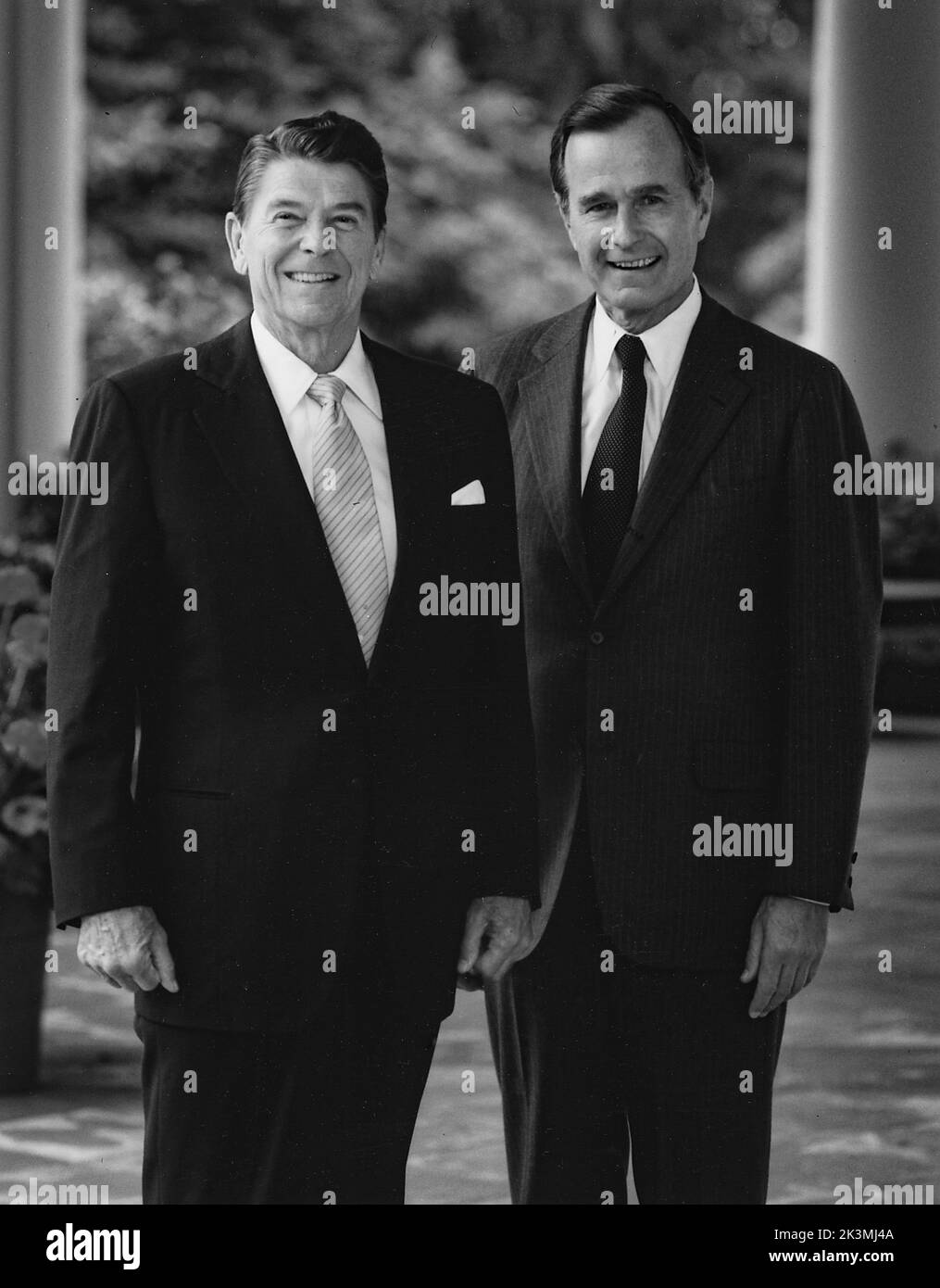 Official Portrait of President Reagan and Vice-President Bush Stock ...