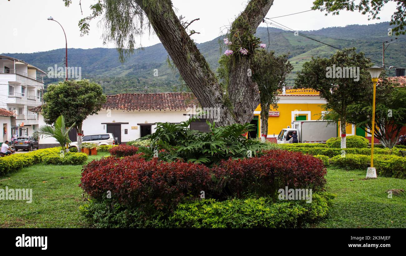 Surrounded by plants and grass hi-res stock photography and images - Alamy