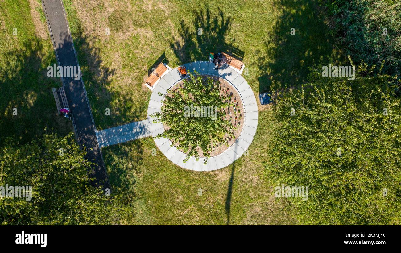 An aerial view of trees on a field by a road Stock Photo - Alamy