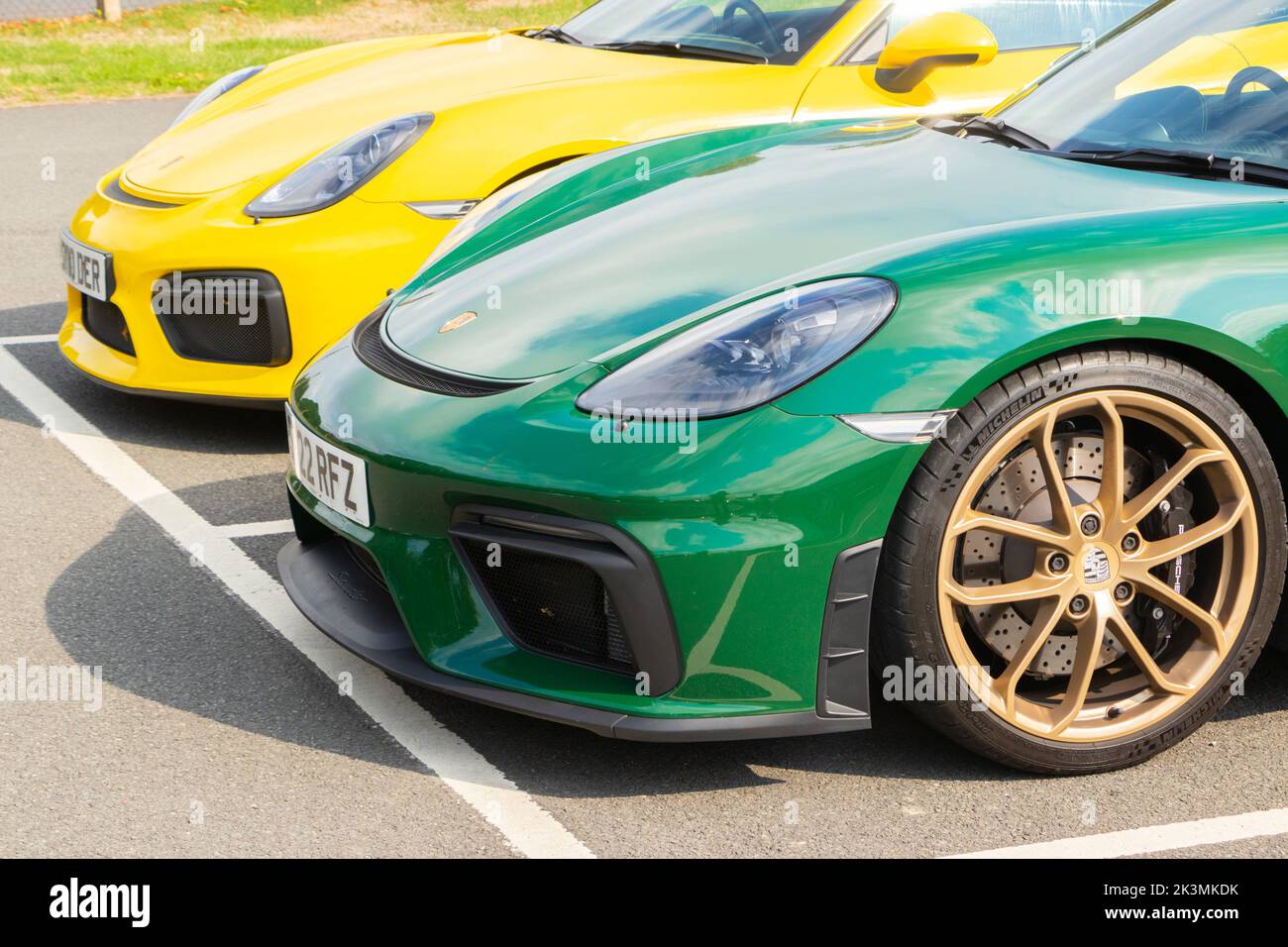 Green spyder hi-res stock photography and images - Alamy