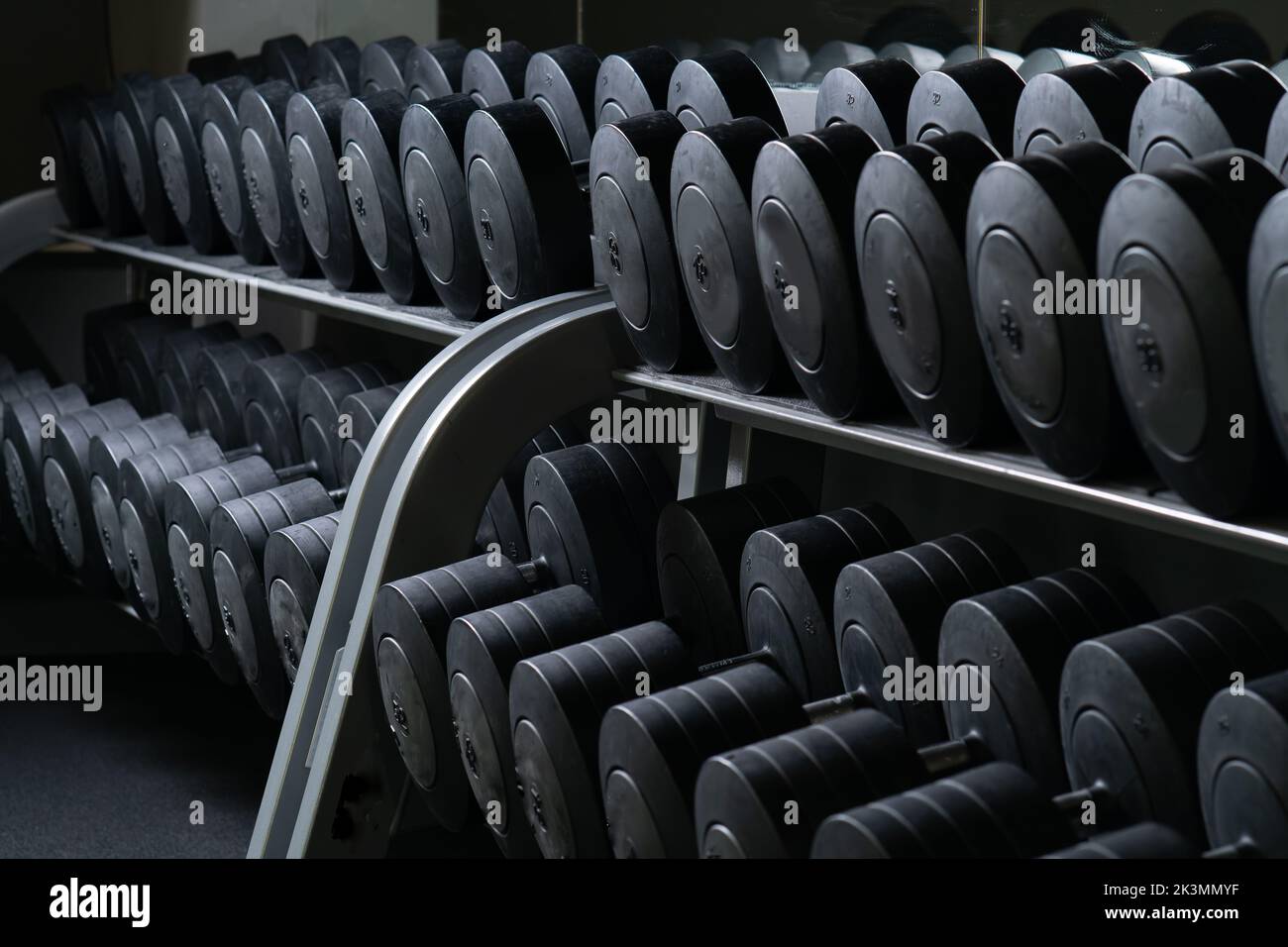 Fitness exercise gym workout sport weight training muscle isolated ...