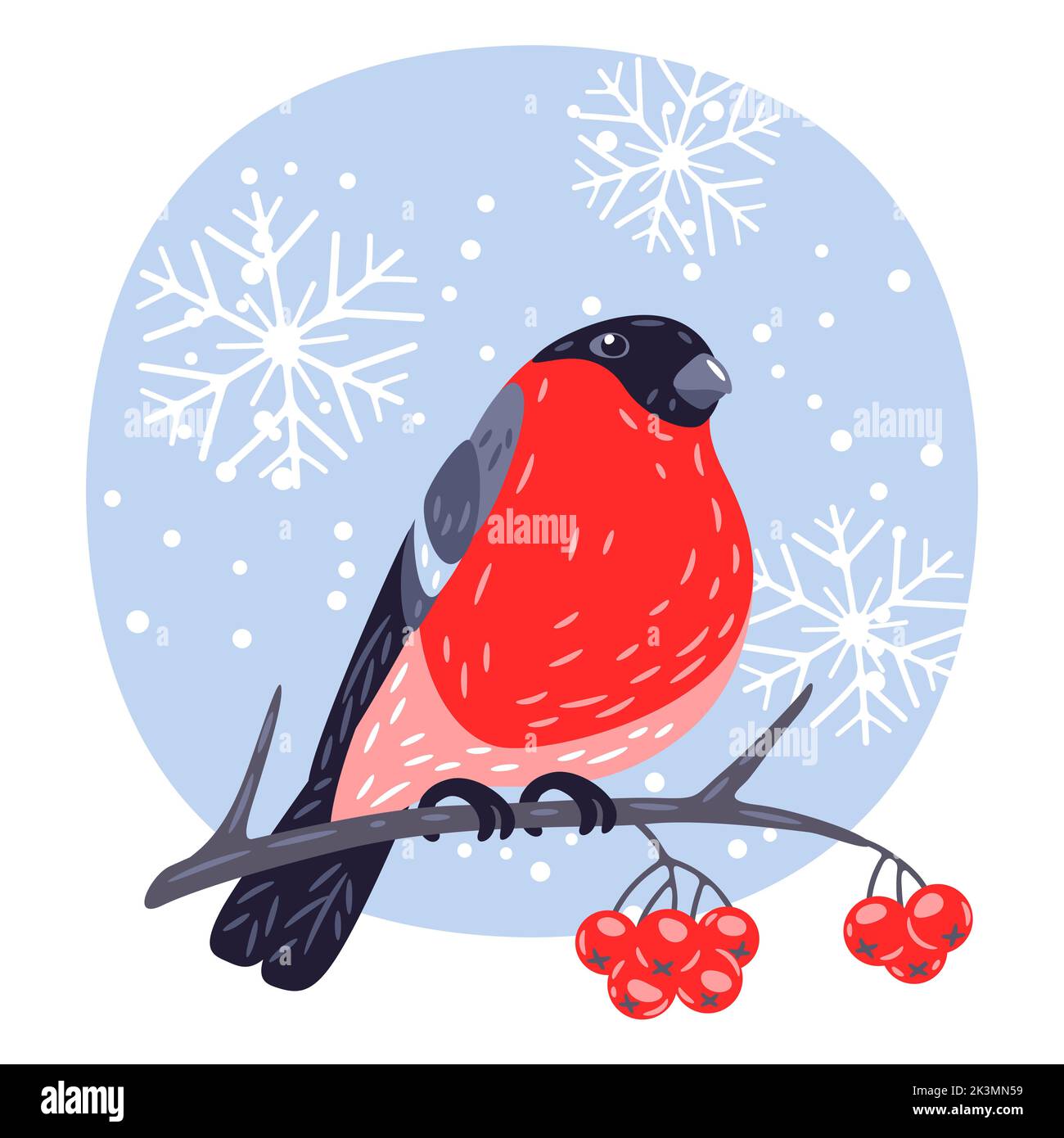 Winter illustration of bird bullfinch and rowan berries. Merry ...