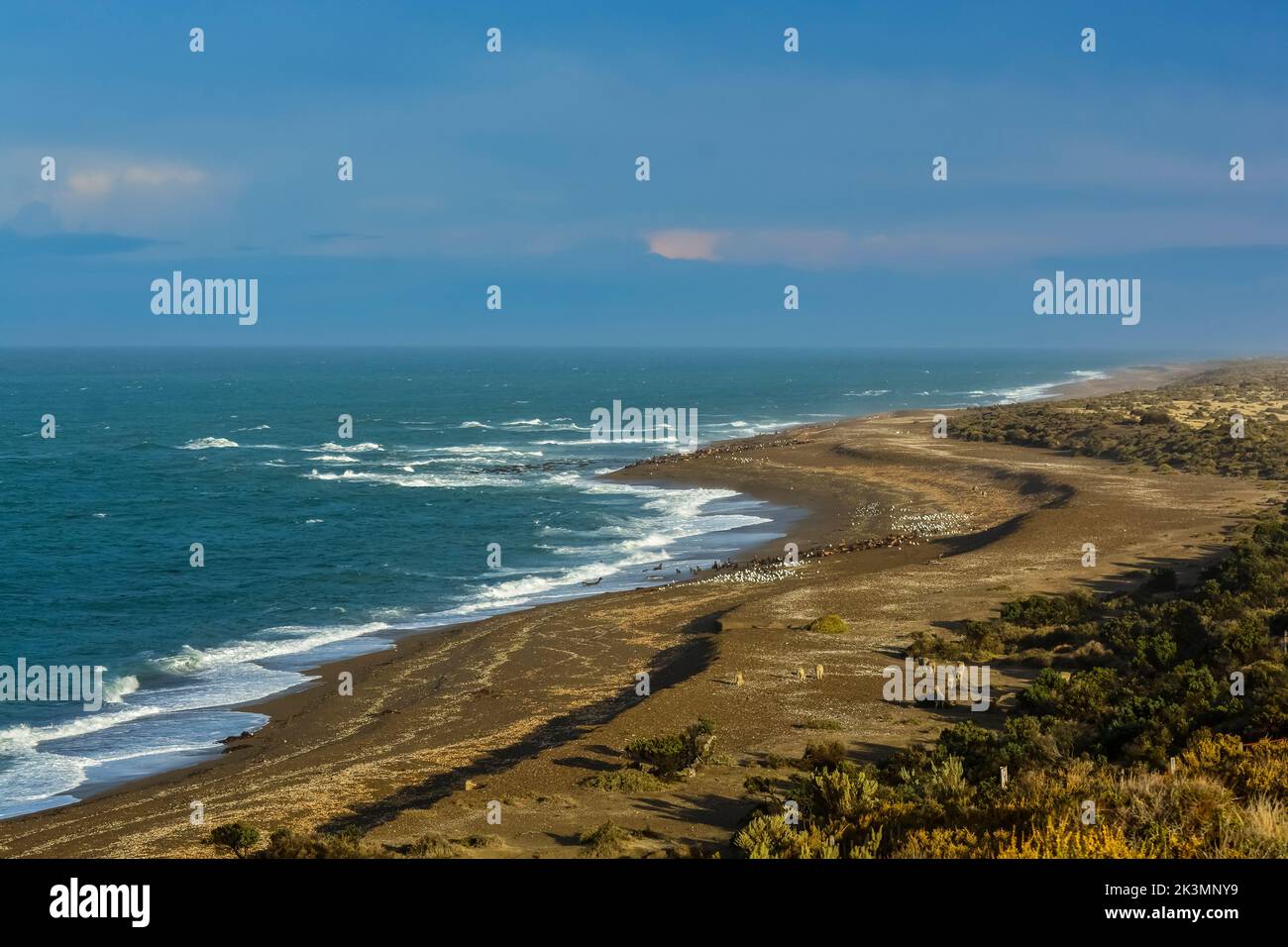 Caleta Valdes landescape, Peninsula Valdes chubut province Patagonia ...