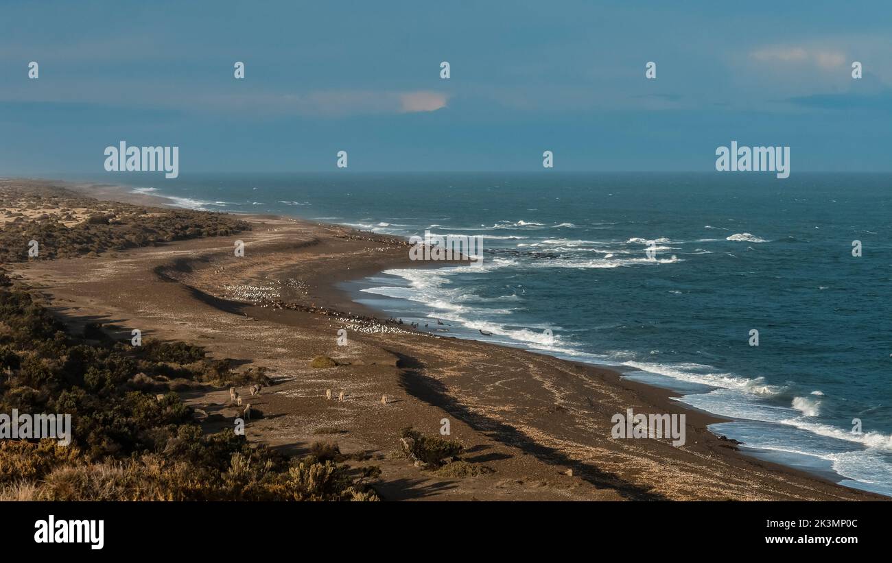 Caleta Valdes landescape, Peninsula Valdes chubut province Patagonia ...