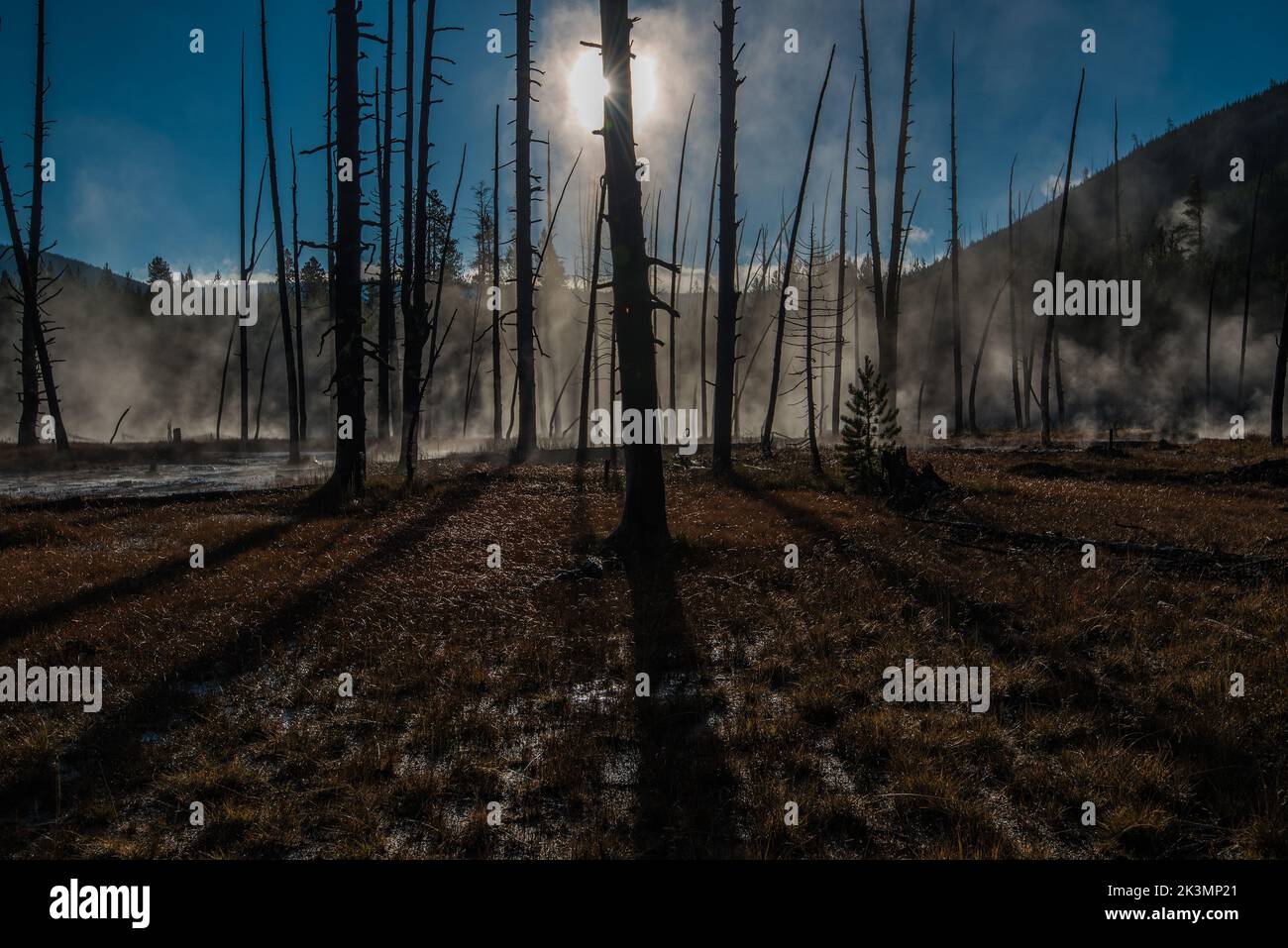 Vapor and steam rise above the ground creating an eerie scene in ...