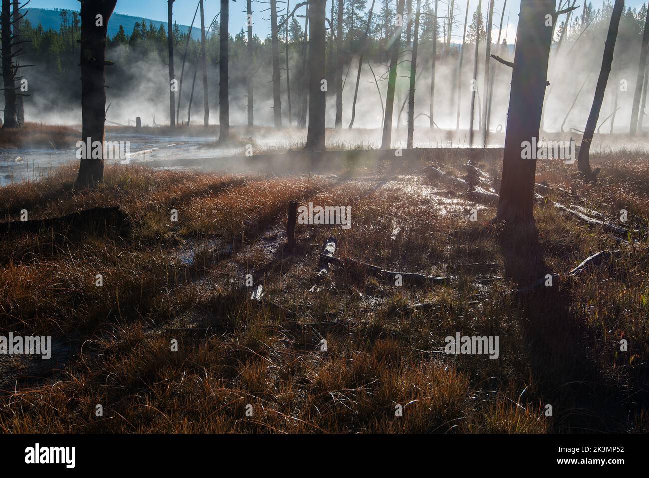 Vapor and steam rise above the ground creating an eerie scene in ...