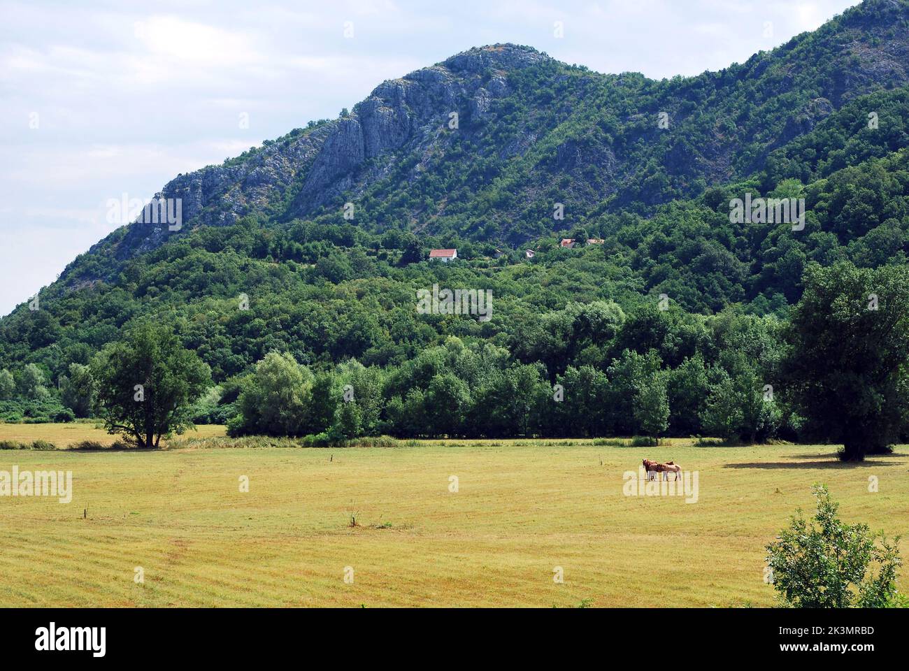 Valley near the Montenegro coast Stock Photo - Alamy