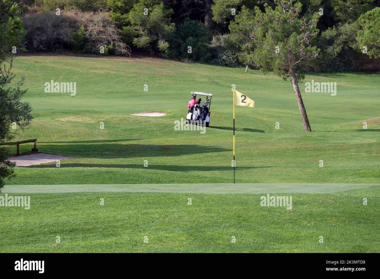 Golf cart in fairway of golf course with green grass and trees Stock ...