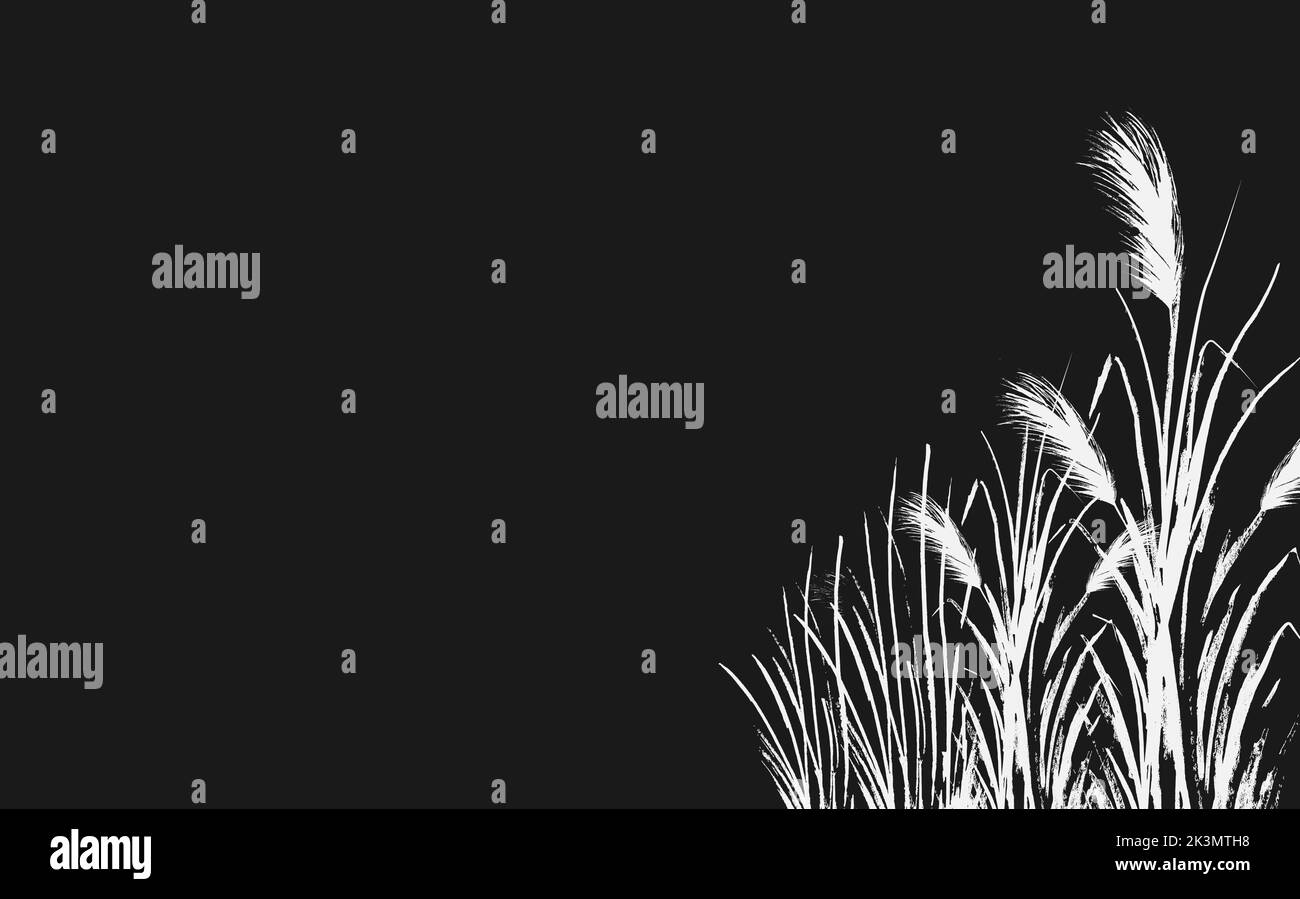 Isolated vector drawing.Image of a white reed or bulrush on a black ...