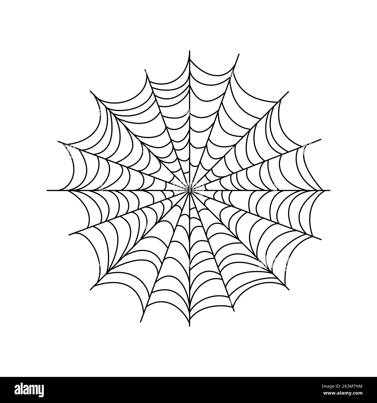 Spider web. Halloween hand drawn cobweb. Vector illustration isolated ...