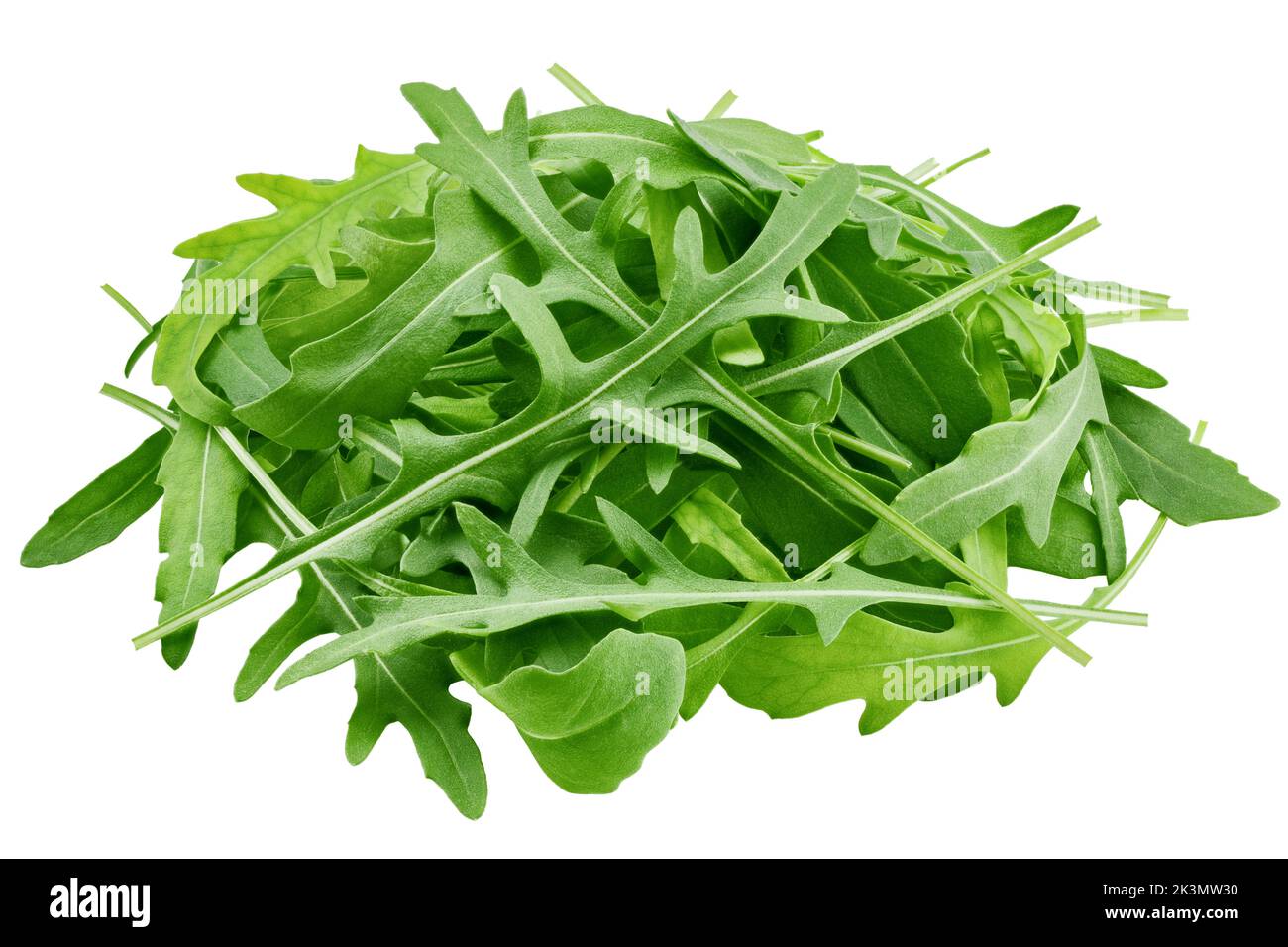Arugula, rocket, eruca, rucola, isolated on white background, clipping ...