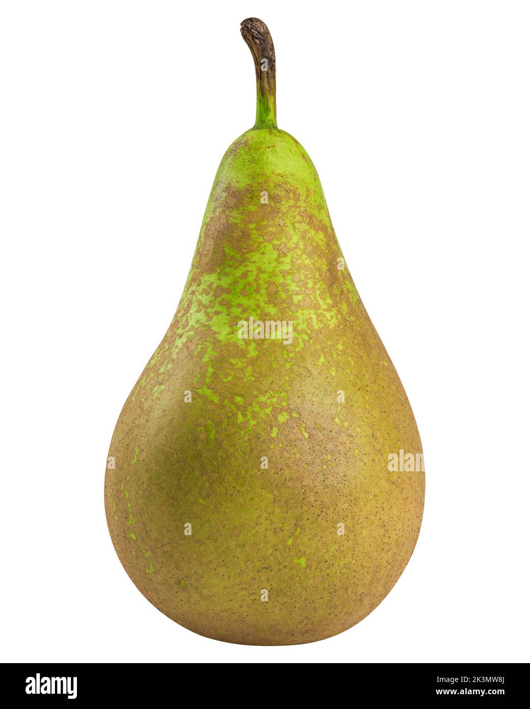 Green conference pear isolated on white background, clipping path, full ...