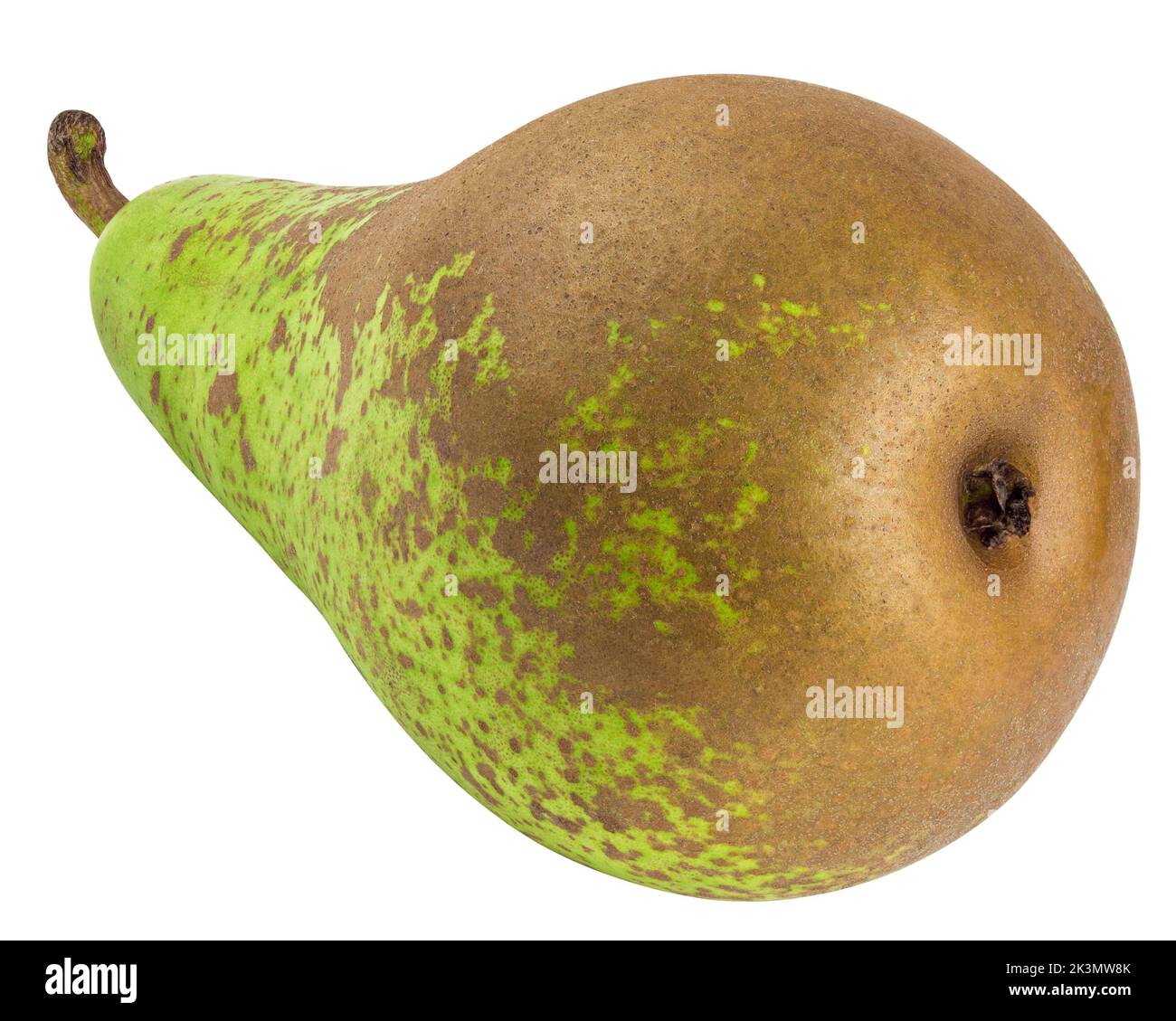 Green conference pear isolated on white background, clipping path, full ...