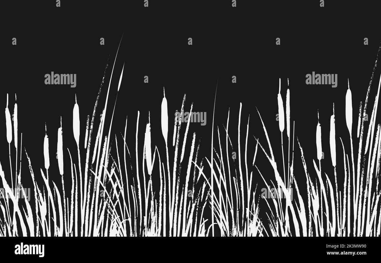 Isolated vector drawing.Image of a white reed or bulrush on a black ...