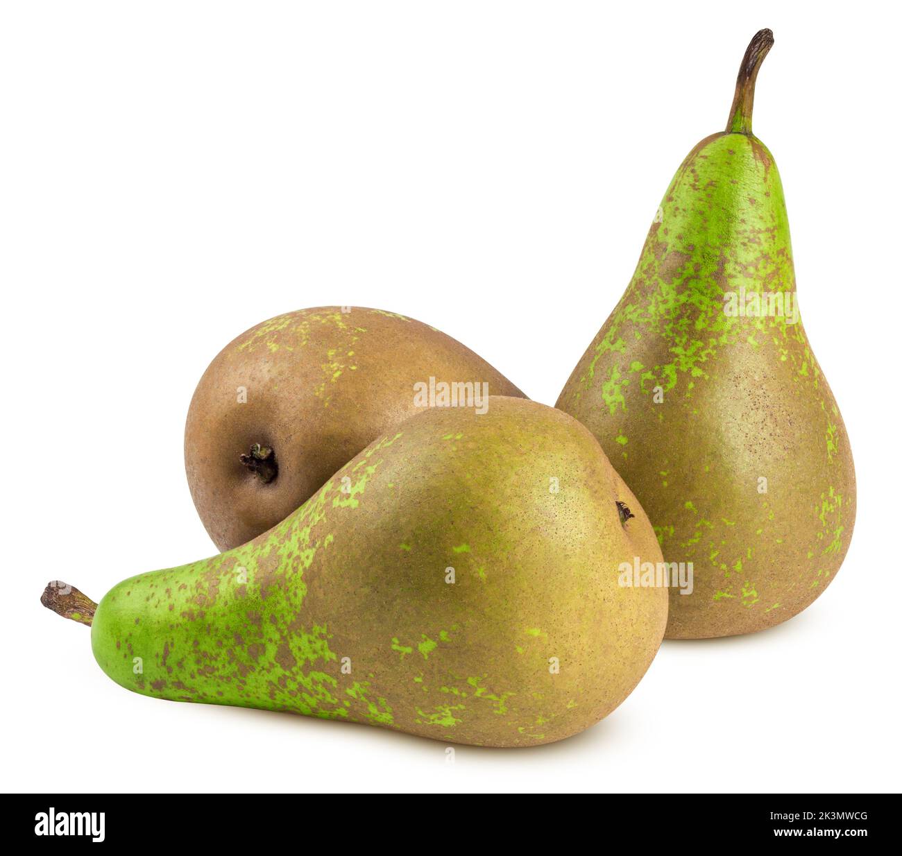 Green conference pear isolated on white background, clipping path, full ...