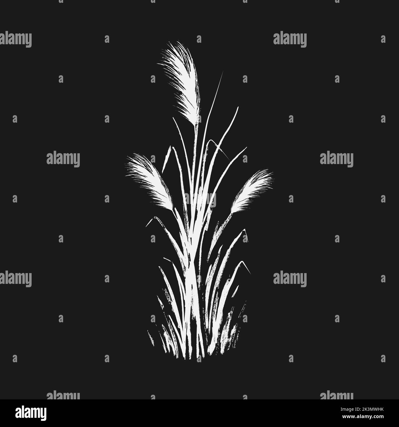 Isolated vector drawing.Image of a white reed or bulrush on a black ...