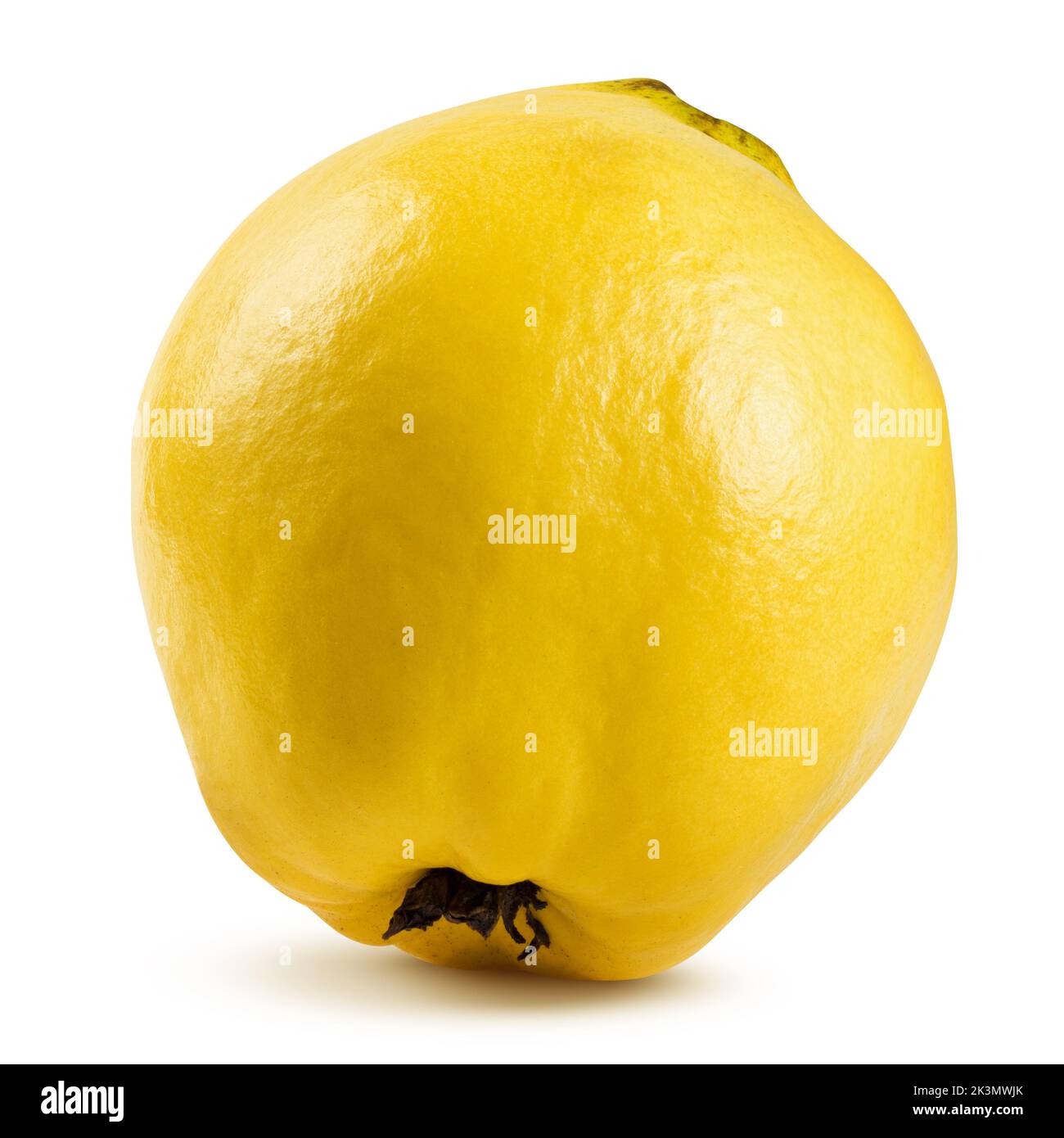 quince isolated on the white background, clipping path, full depth of ...