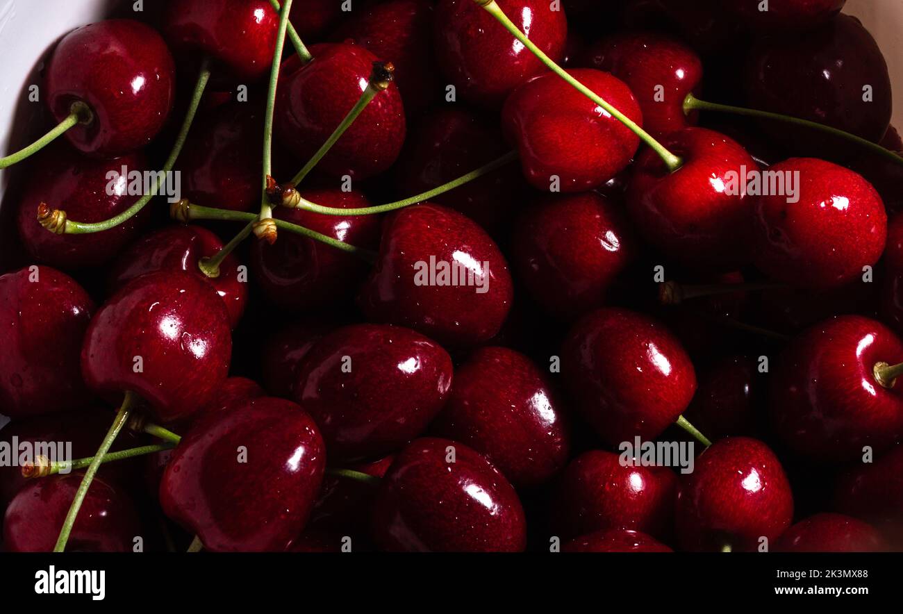 Sweet cherries. Juicy maroon fruit close-up. Cherries in magnification ...