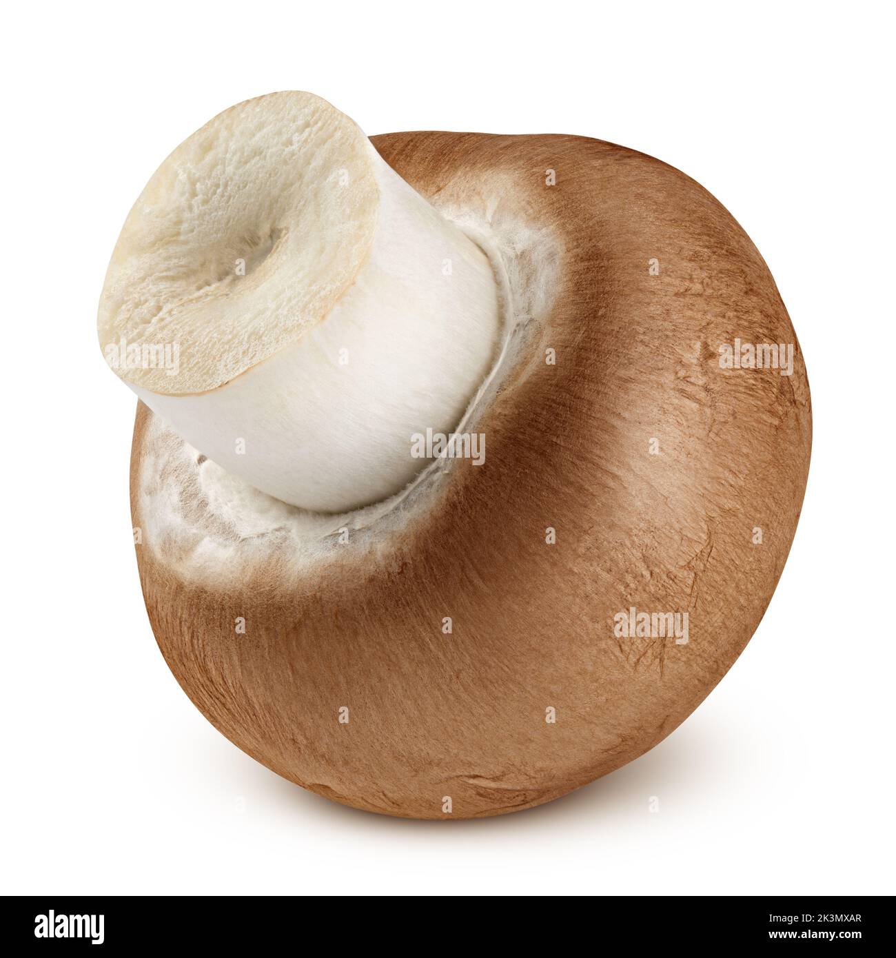 champignon, mushroom, isolated on white background, clipping path, full ...