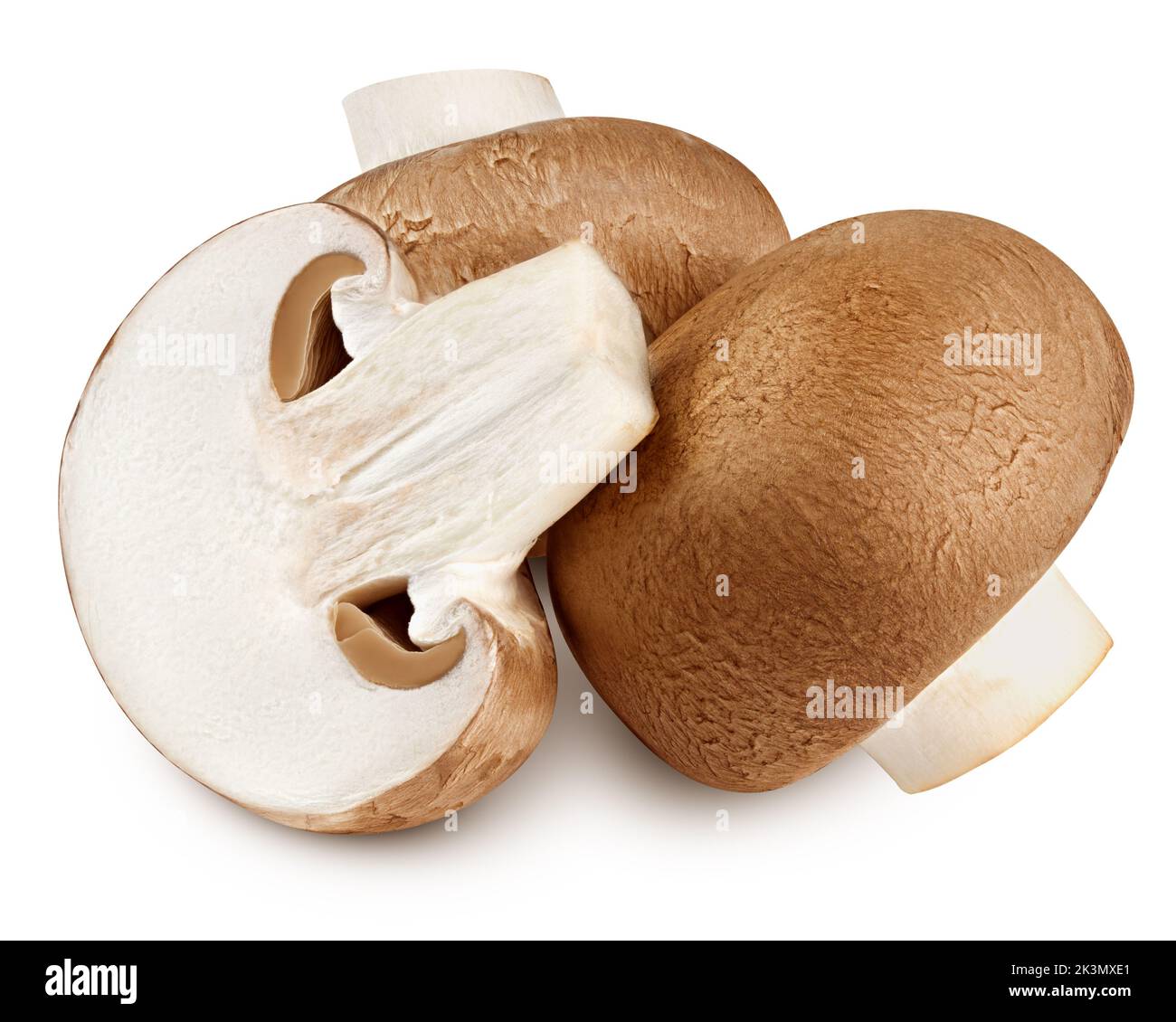 champignon, mushroom, isolated on white background, clipping path, full ...