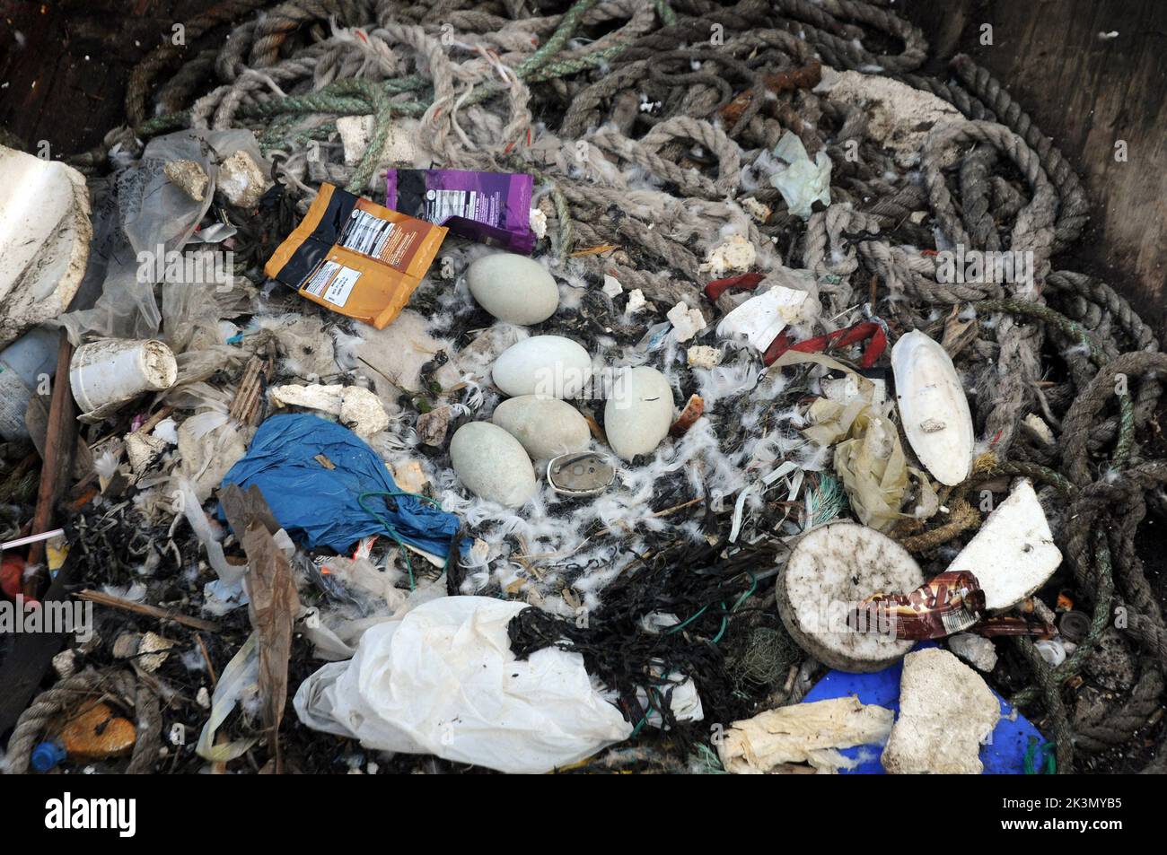 Empty packets crisp hi-res stock photography and images - Alamy