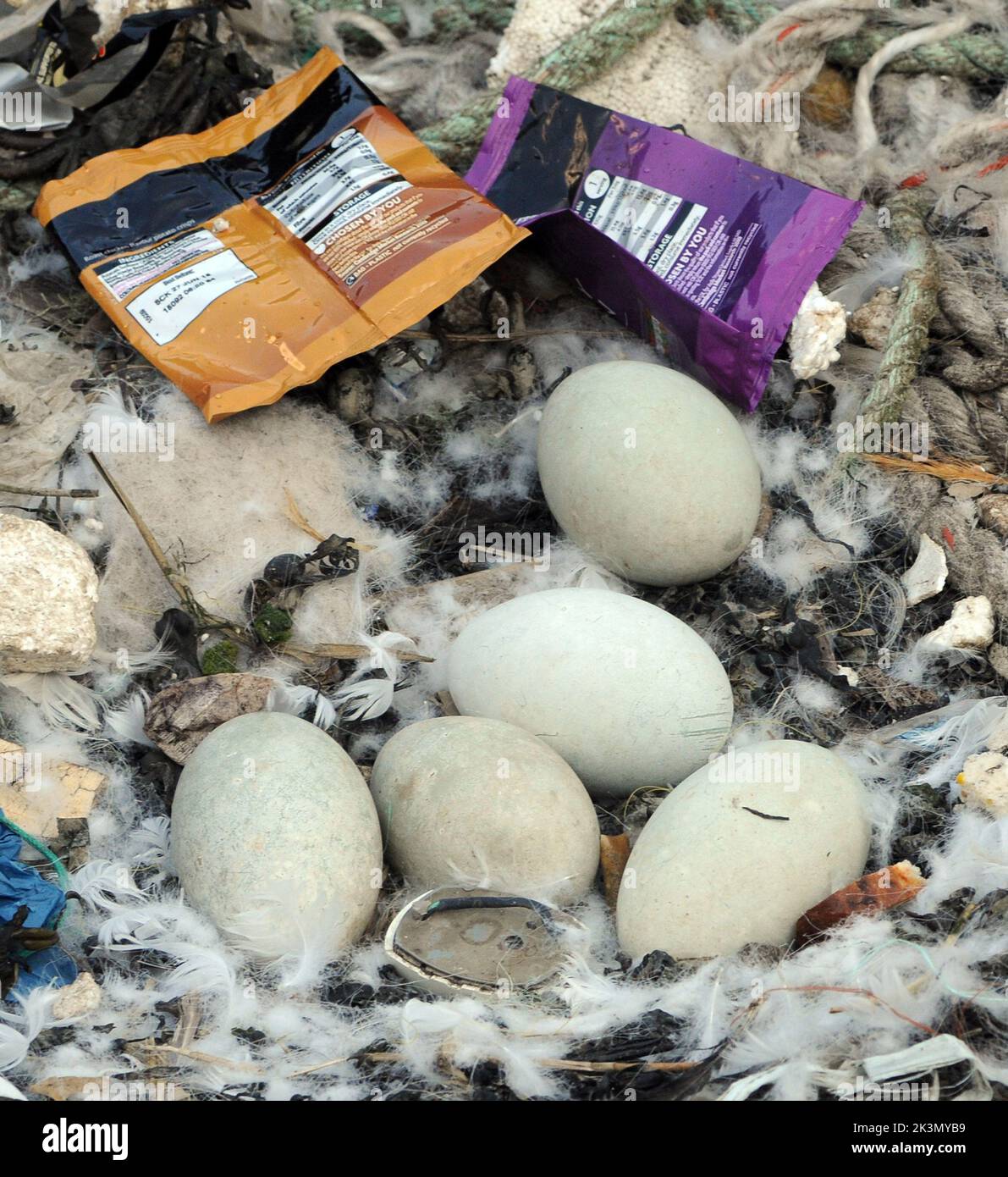 Empty crisp packets hi-res stock photography and images - Alamy