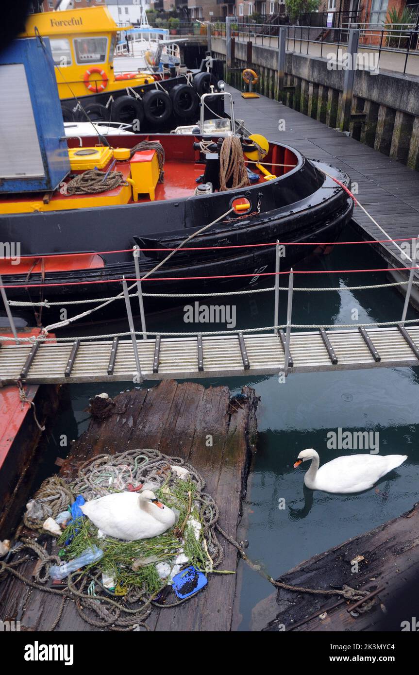 Empty crisp packets hi-res stock photography and images - Alamy