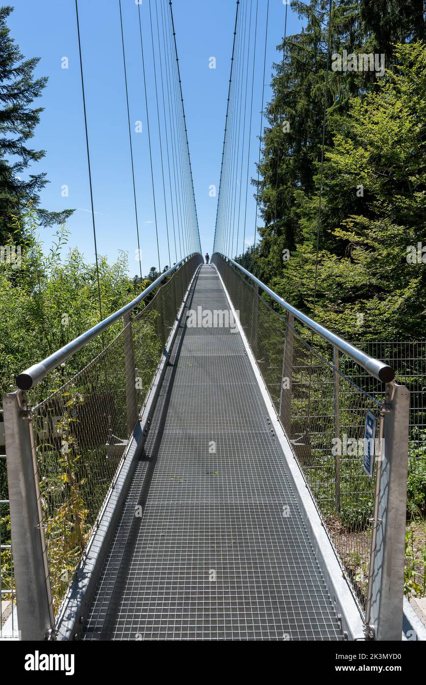 A vertical shot of the hanging bridge next to the Bad Wildbad town in ...