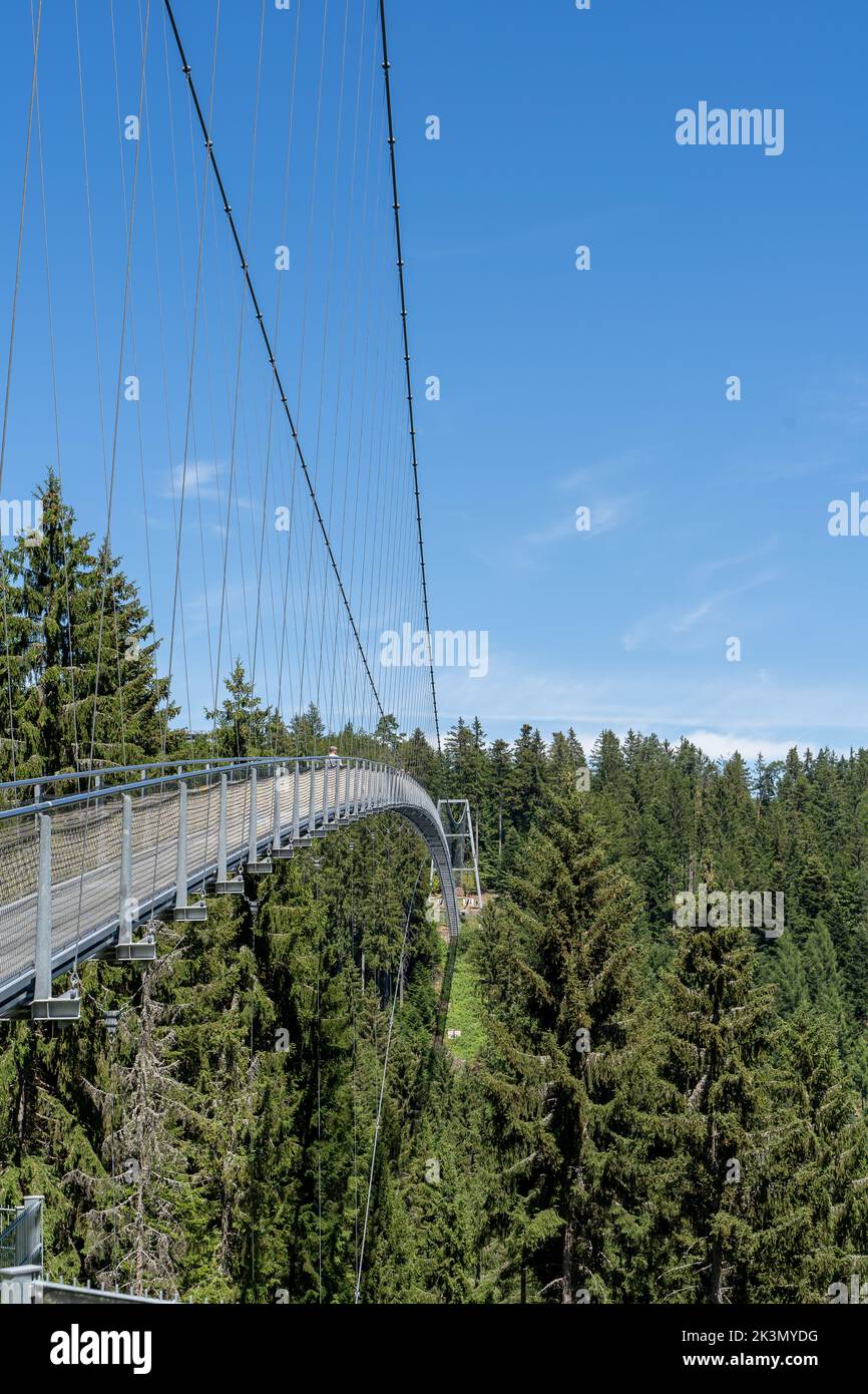 A vertical shot of the hanging bridge next to the Bad Wildbad town in ...