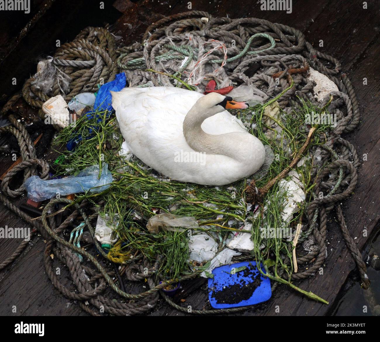 Empty crisp packets hi-res stock photography and images - Alamy