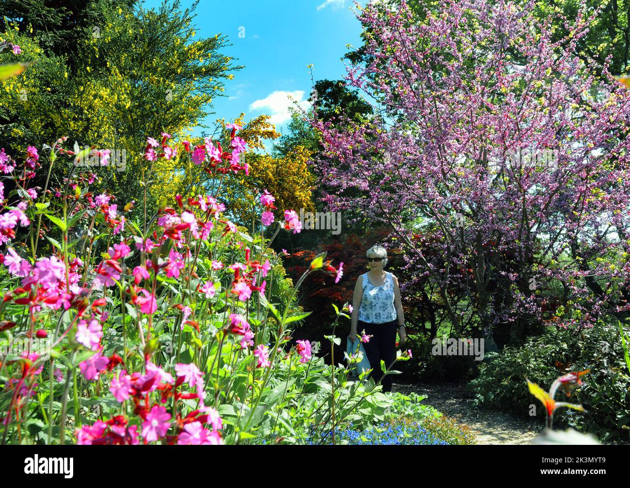Furzey gardens new forest hi-res stock photography and images - Alamy