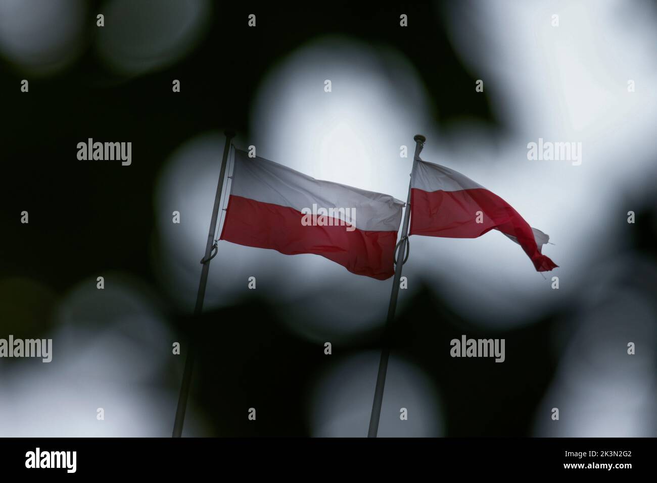 Polish flags are seen flying through foliage in Warsaw, Poland on 27 ...