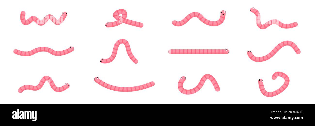 Worms character set. Pink earthworm collection. Vector isolated on ...
