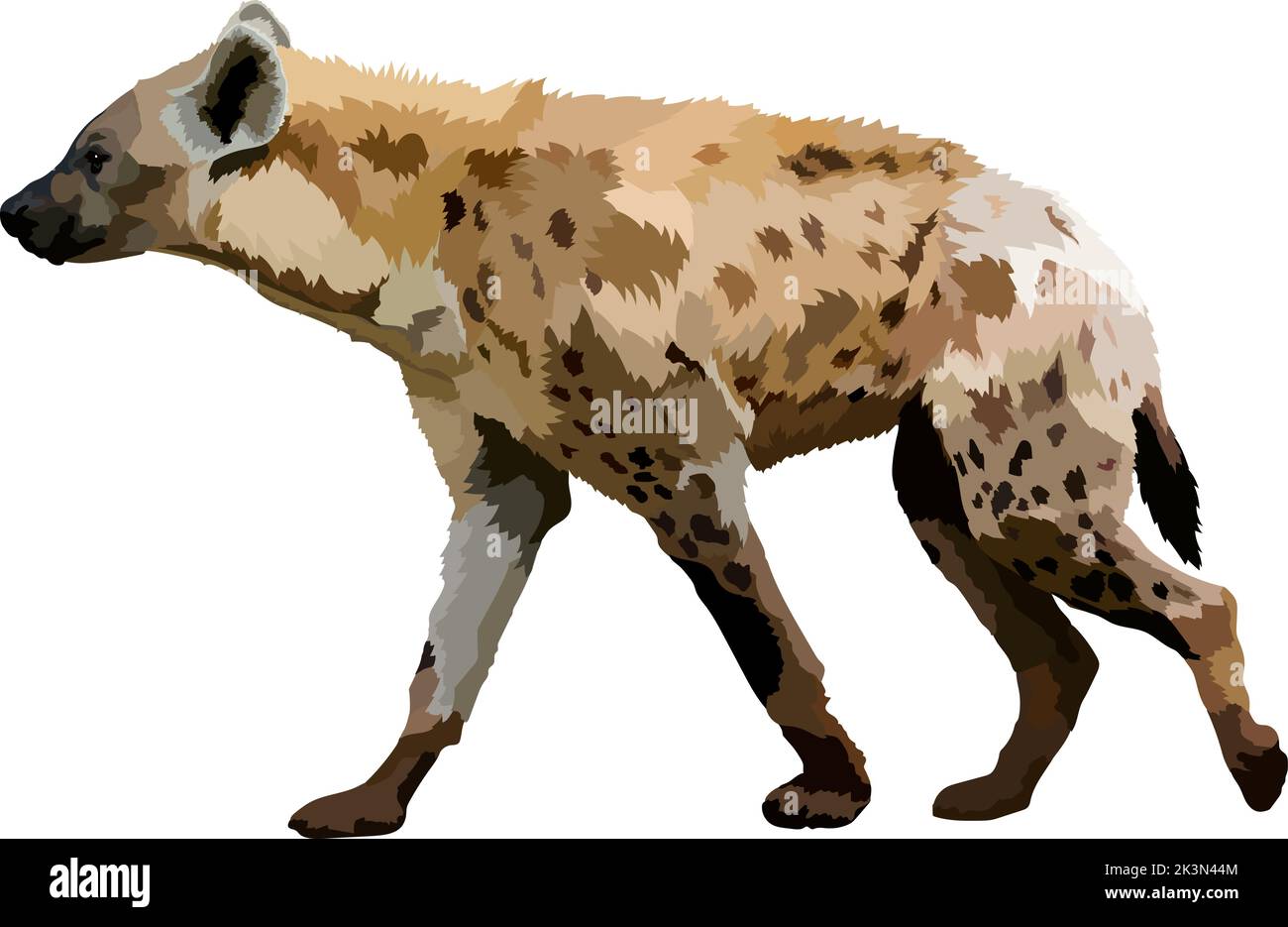 Hyena animal on white background illustration vector Stock Vector Image ...