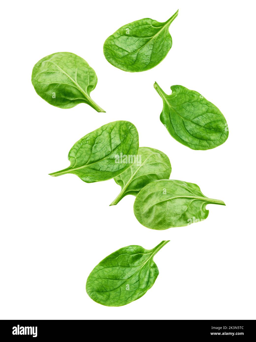 Falling Spinach isolated on white background, clipping path, full depth ...