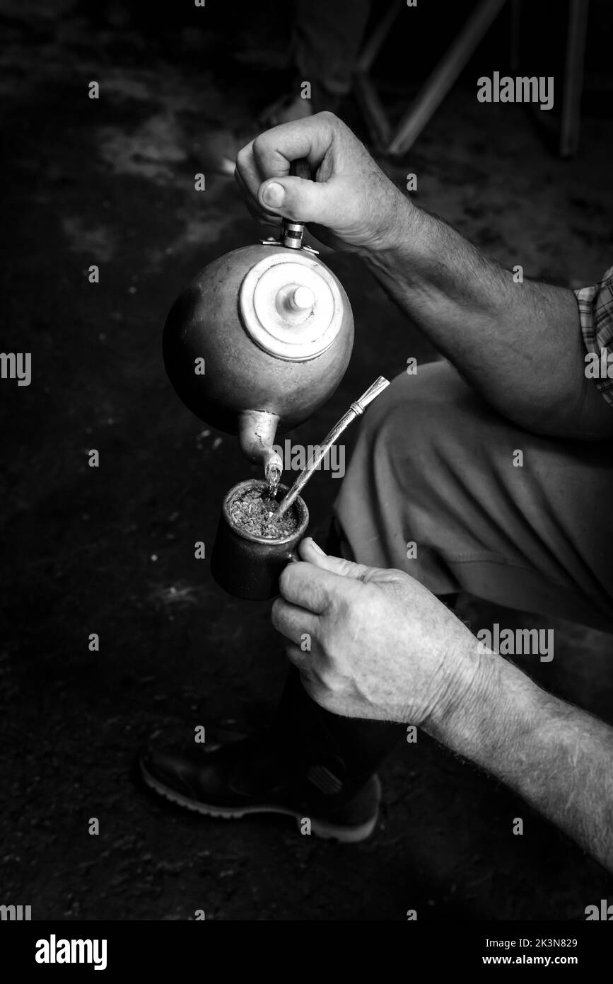 Pava. traditional Argentine infusion based on yerba mate Stock Photo ...