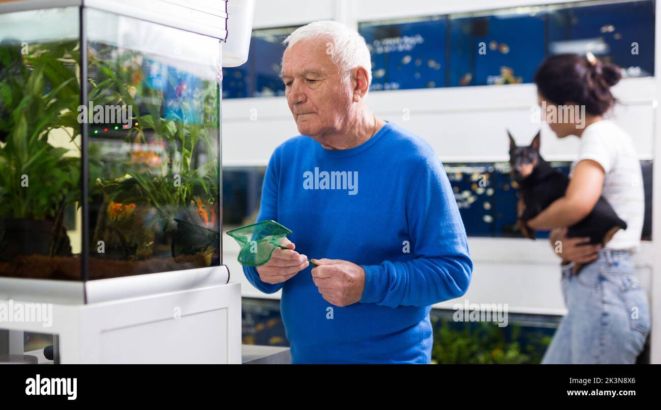 Positive mature man chooses aquarium fish in pet shop Stock Photo - Alamy