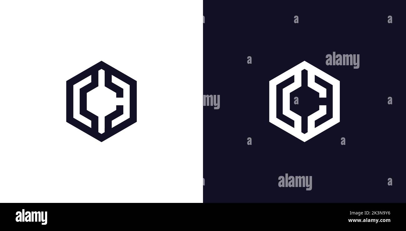 The hexagonal logo isolated on white and black background Stock Vector ...