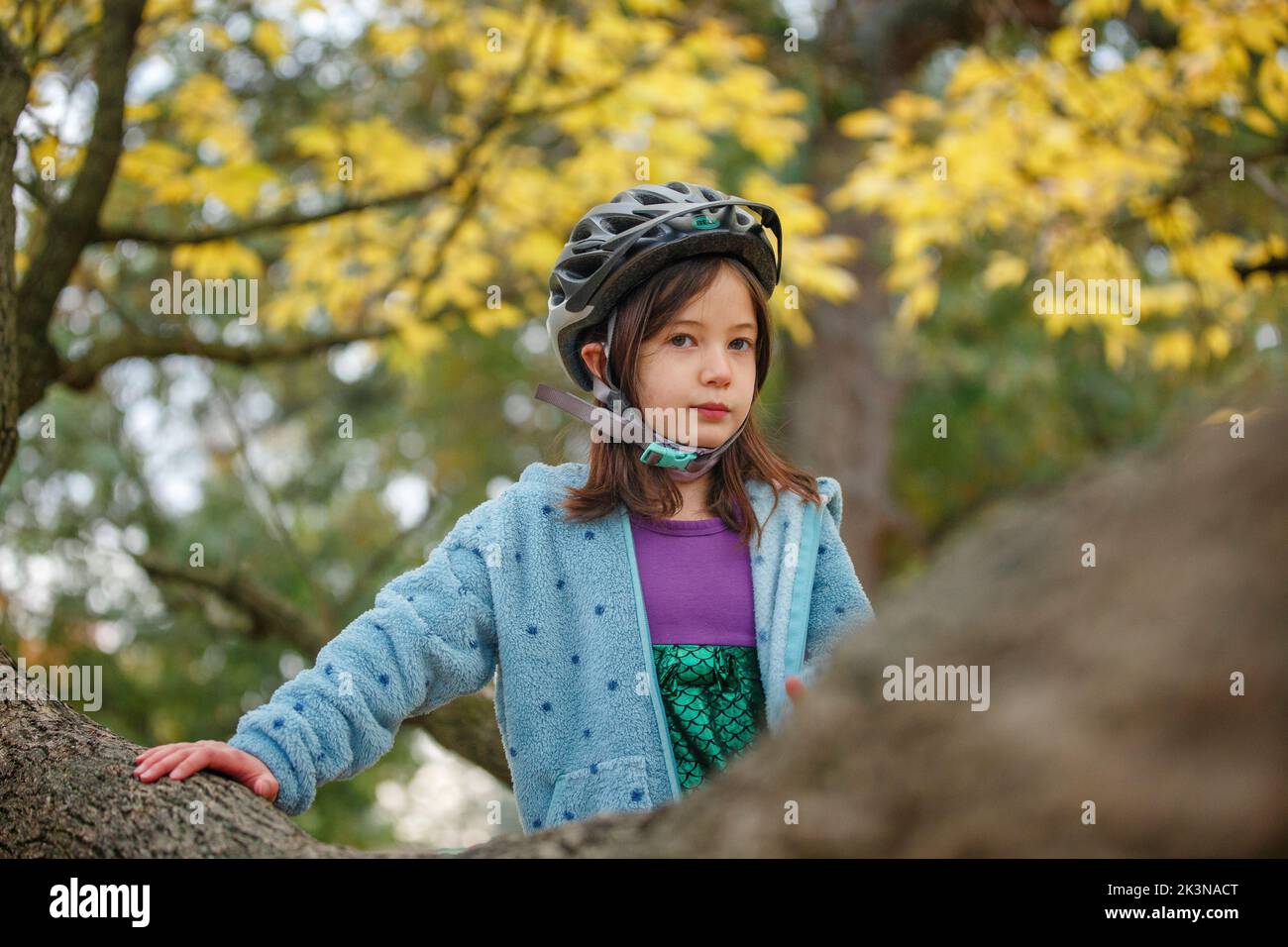 A small girl in bike helmet sits proudly in tree branches Stock Photo ...