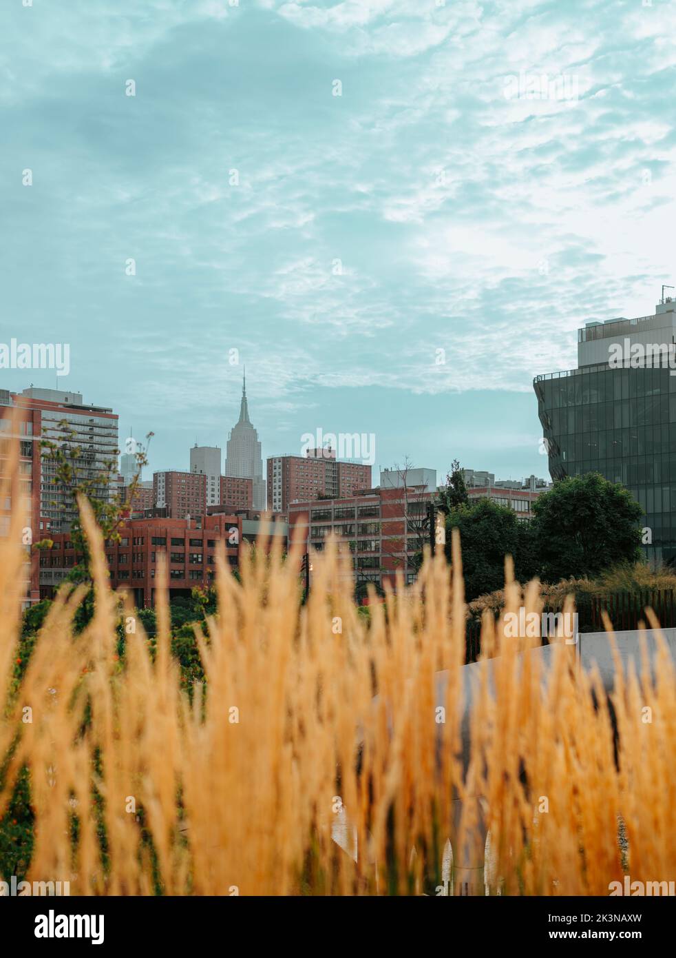 city skyline New York City Manhattan sky urban skyscraper different ...