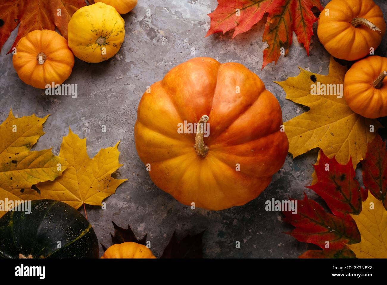 a whole beautiful pumpkin on the table Stock Photo - Alamy