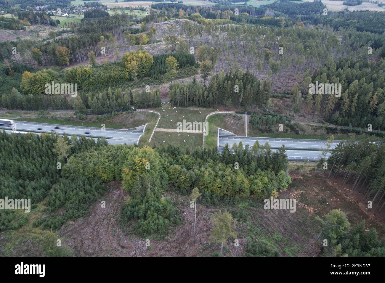 Ecoduct wildlife hi-res stock photography and images - Alamy