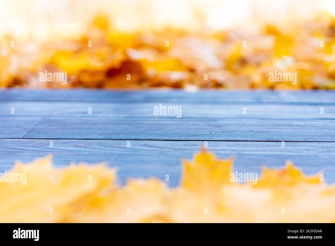 Empty wooden table nature bokeh background with autumn yellow maple ...