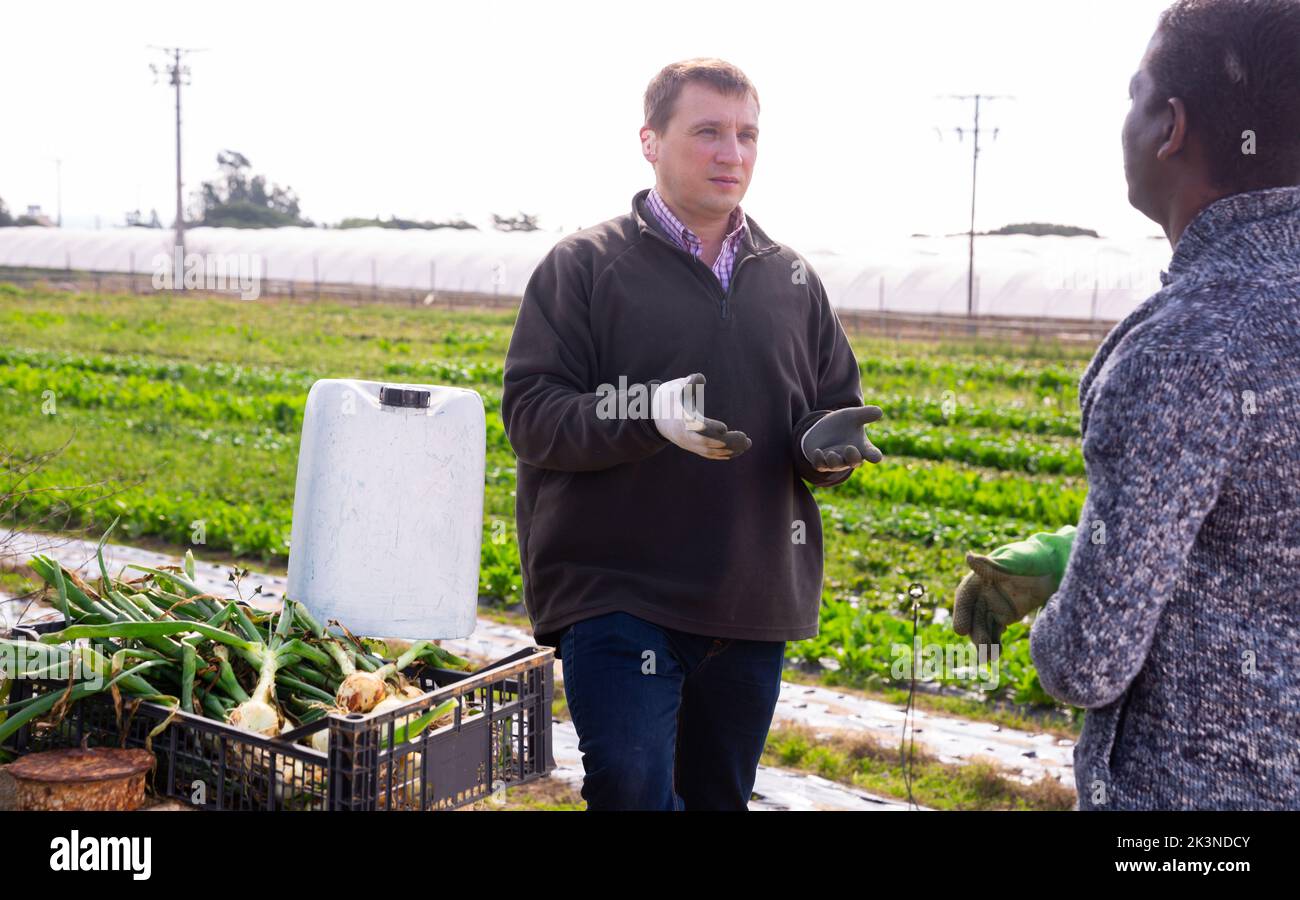 Two farmers talking among themselves during a break in work on the ...
