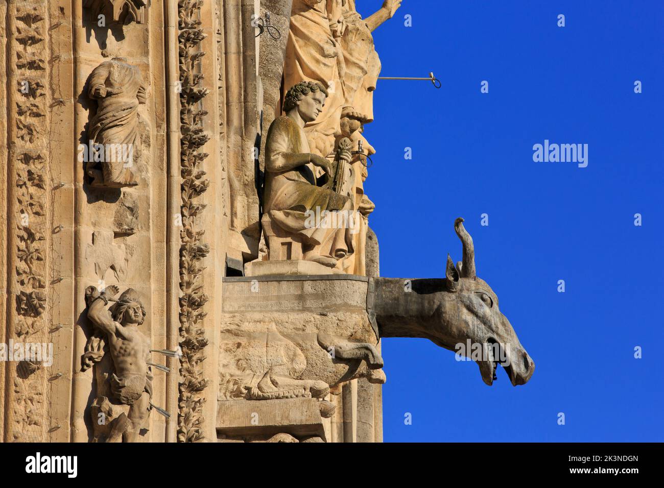A bull-shaped gargoyle of Reims Cathedral in Reims (Marne), France ...