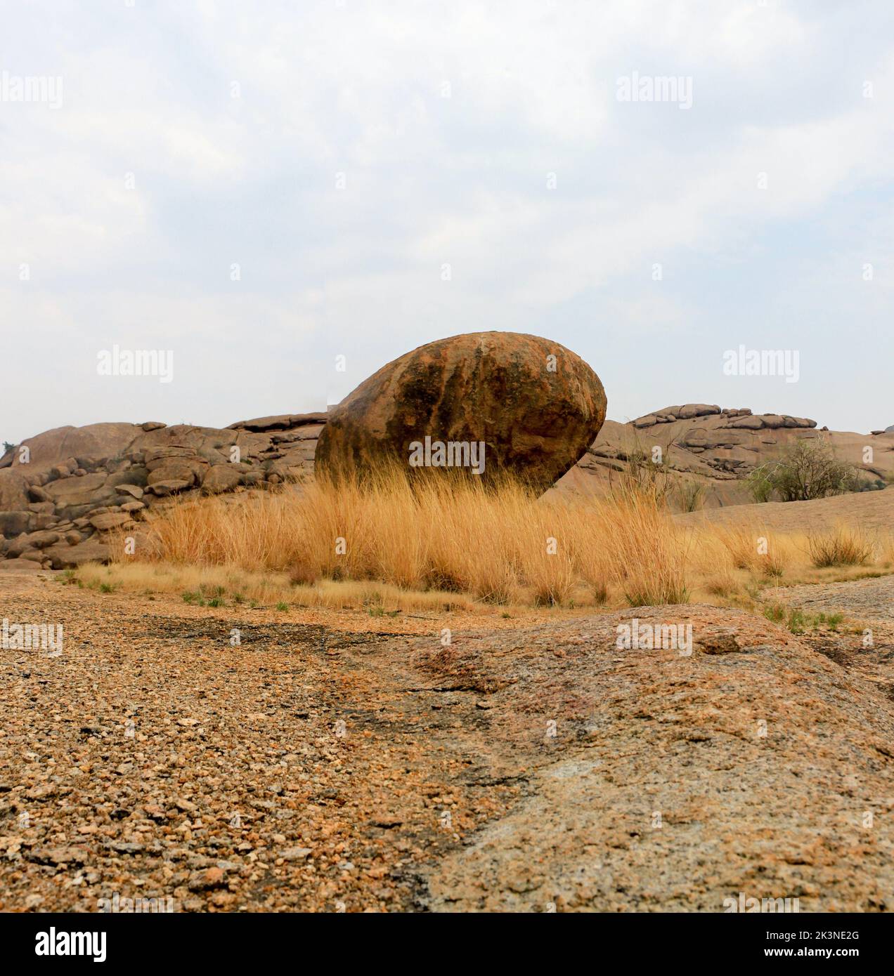 Arid land plant hi-res stock photography and images - Alamy