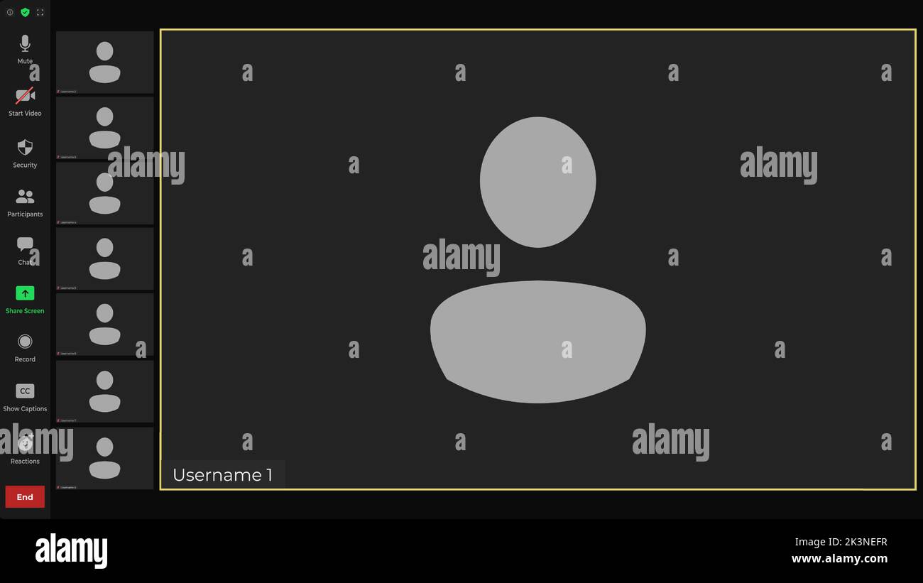Template video conference user interface. User web video call window ...