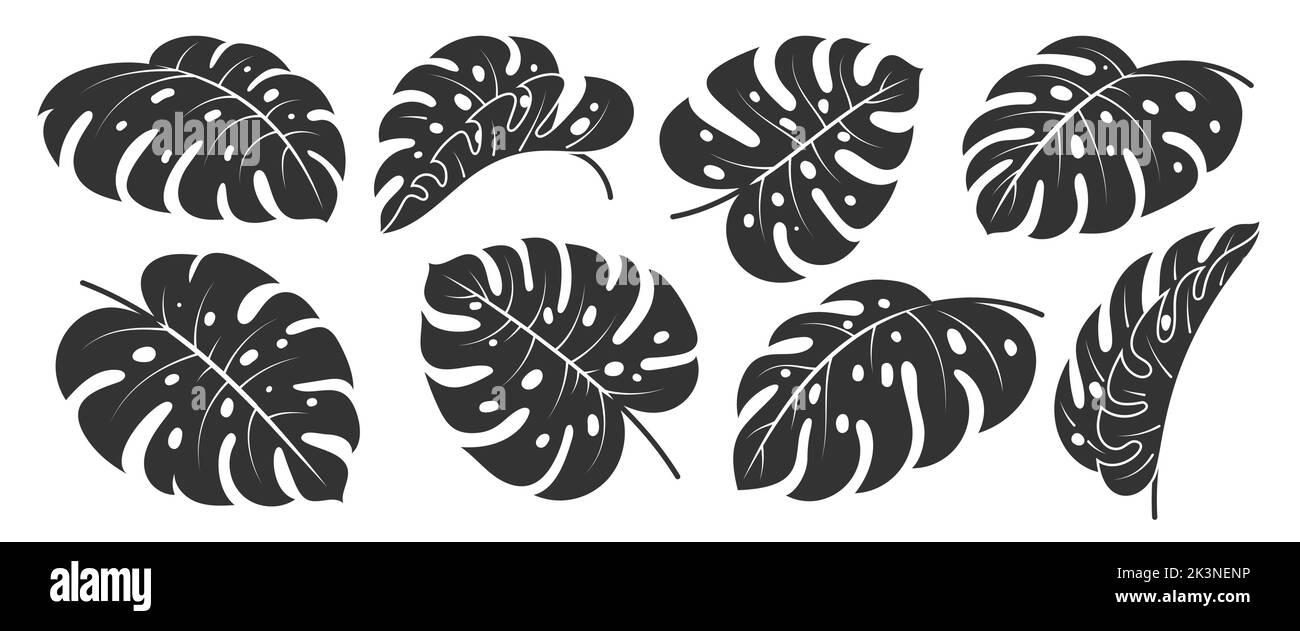 Monstera Deliciosa leaf flat icon set. Tropical exotic plant branch ...