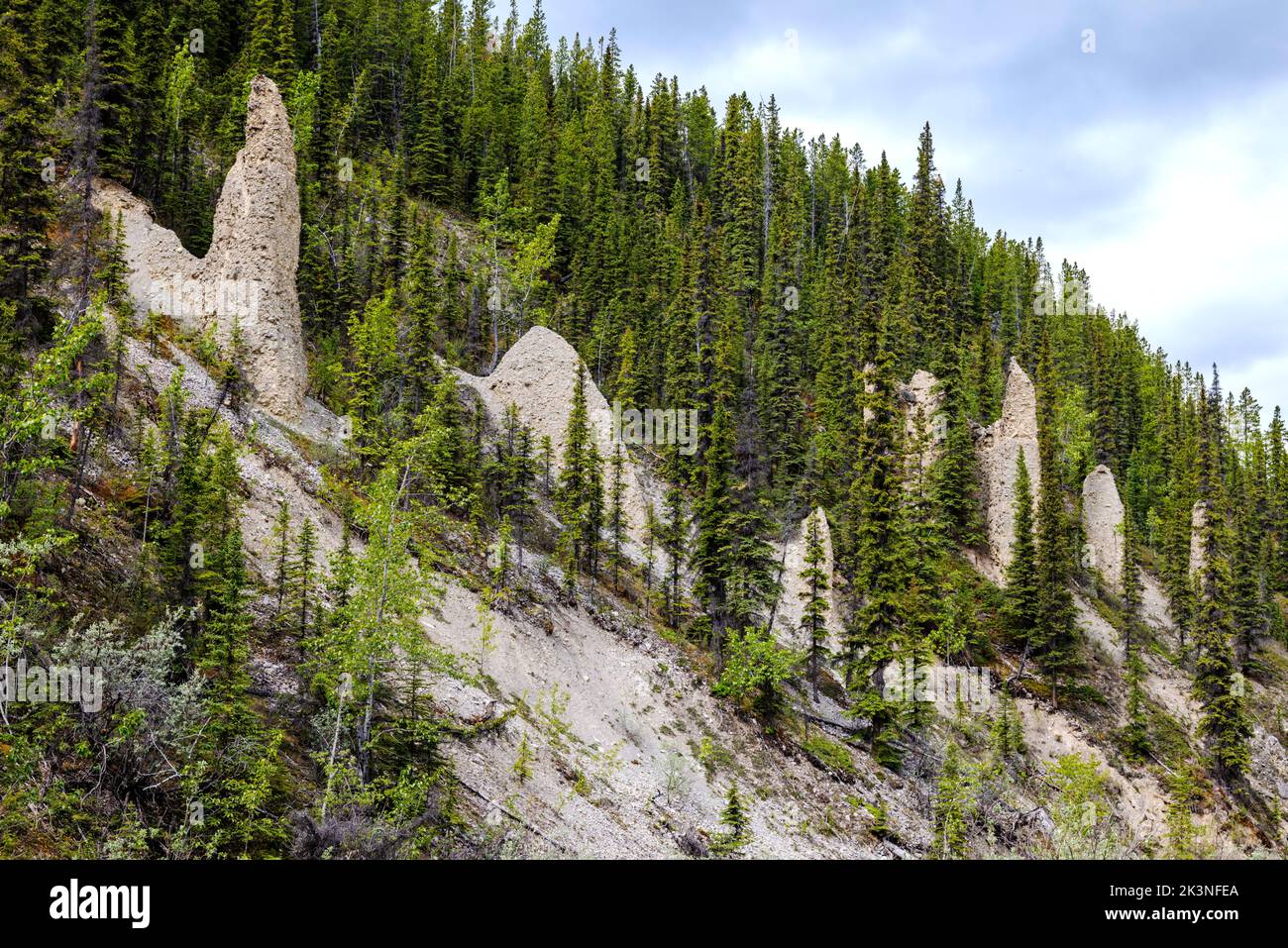 Unusual hoodoos; Muncho Lake; British Columbia; Canada Stock Photo - Alamy