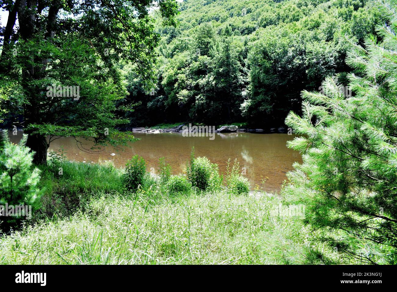 A scenic view of the body of water surrounded by beautiful nature Stock ...
